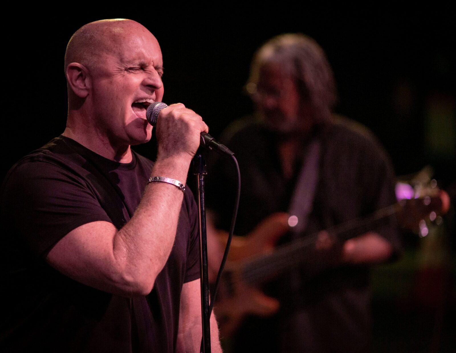 best tribute bands shows